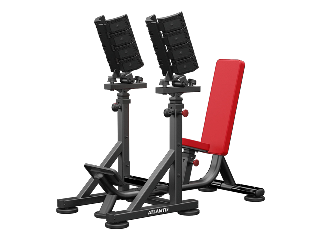 Buy ATLANTIS - Straight Dumbbell Bench with Pivots Online Australia ...